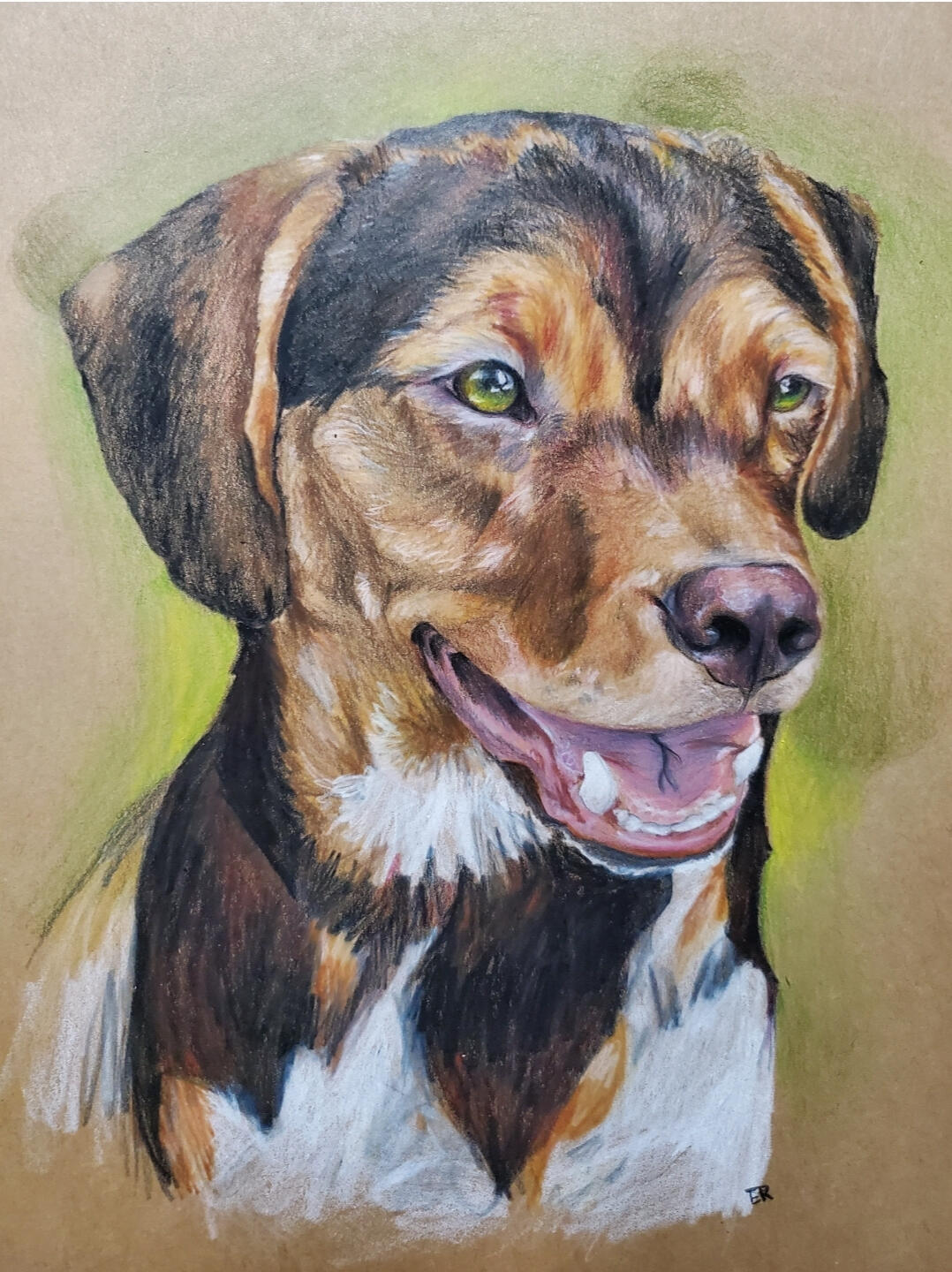 Thinkingaboutbees Commissions