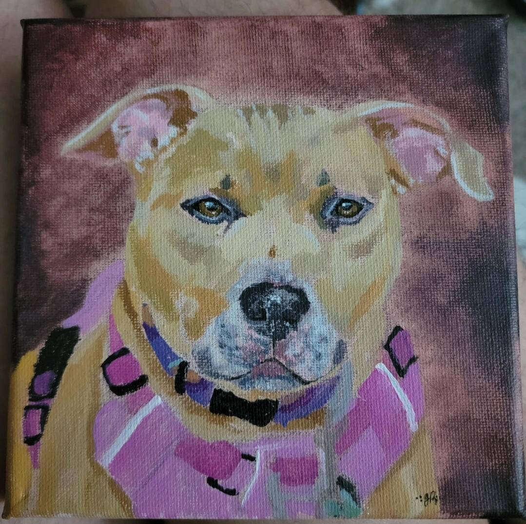 Thinkingaboutbees Commissions