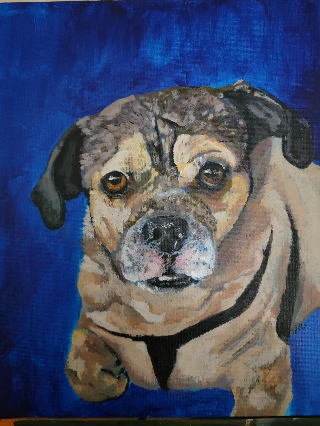 Thinkingaboutbees Commissions