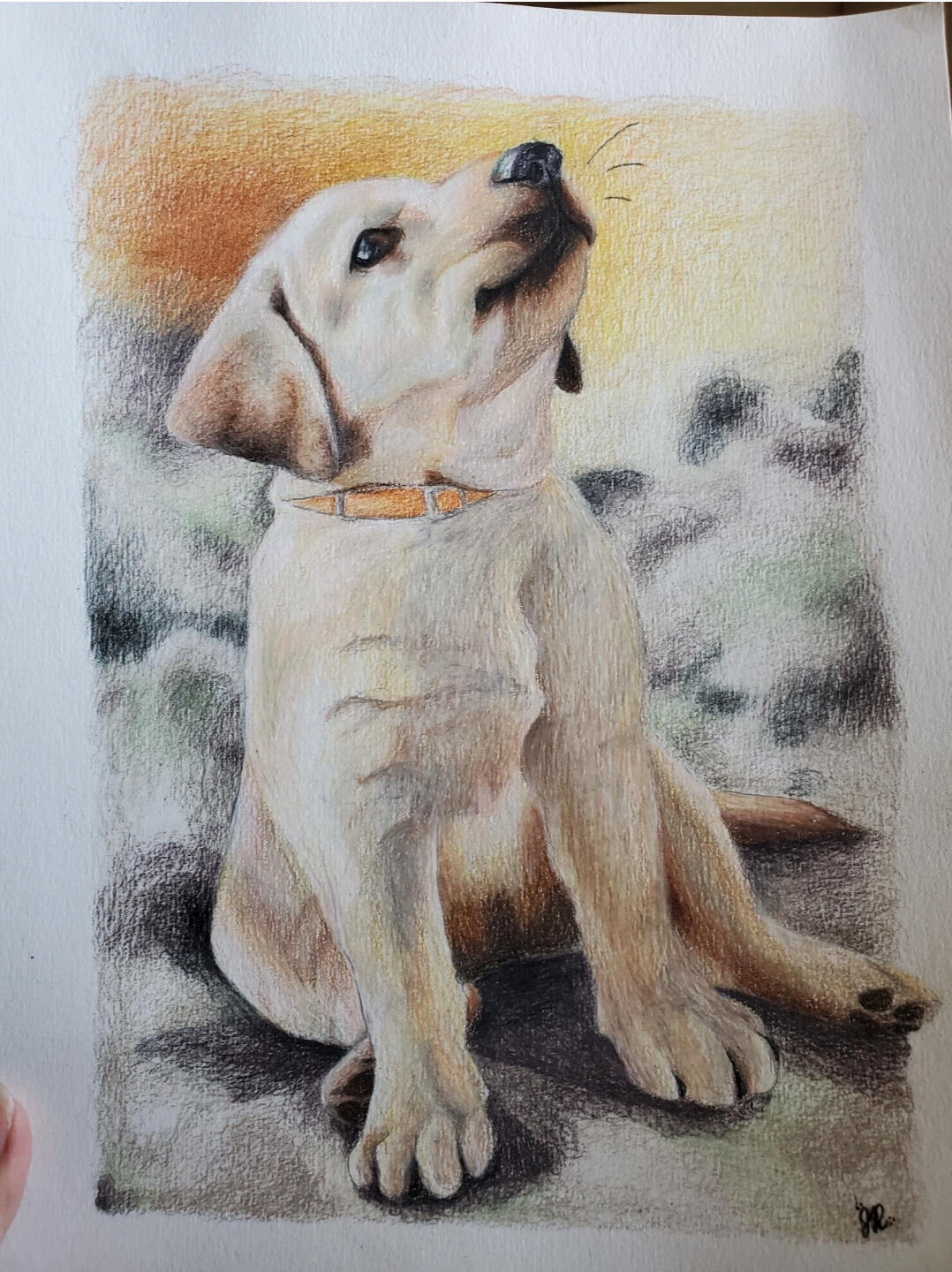 Thinkingaboutbees Commissions