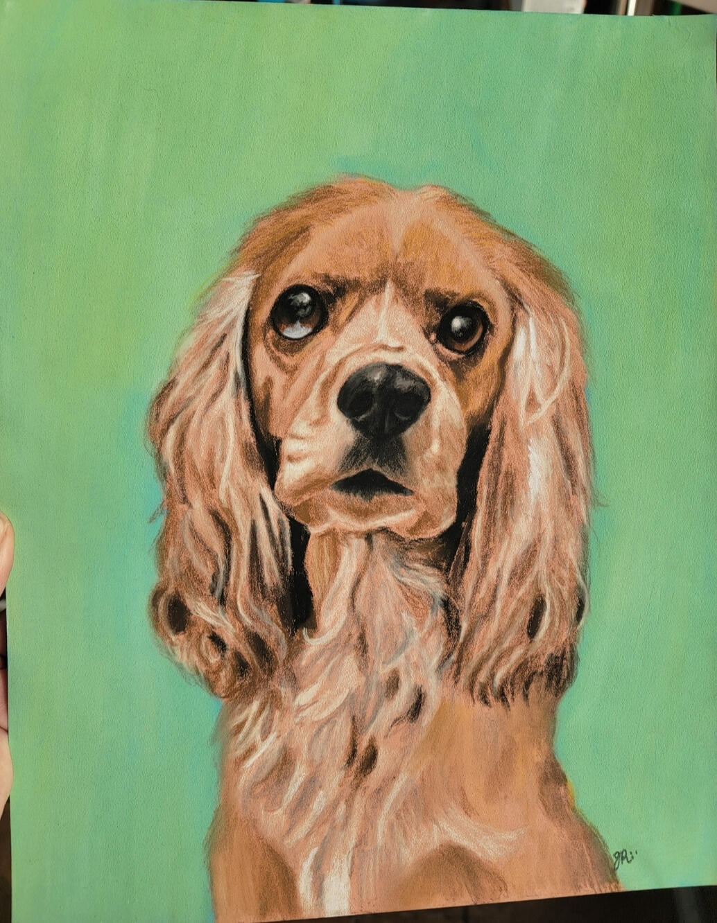 Thinkingaboutbees Commissions